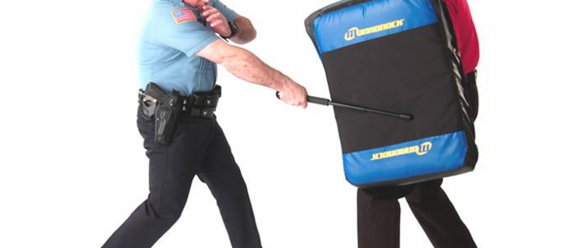 Professional Development Division – Praetorian Agency